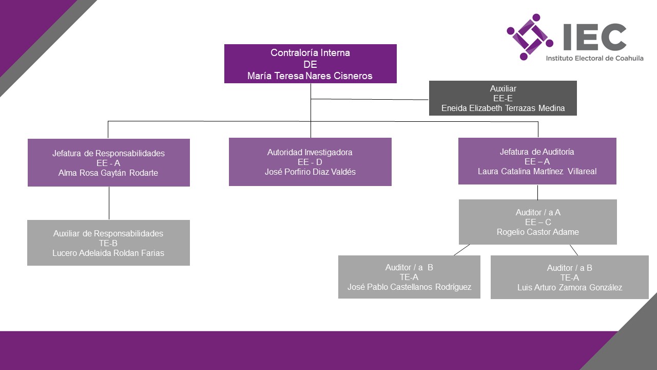 Instituto Electoral de Coahuila - ORGANIGRAMA